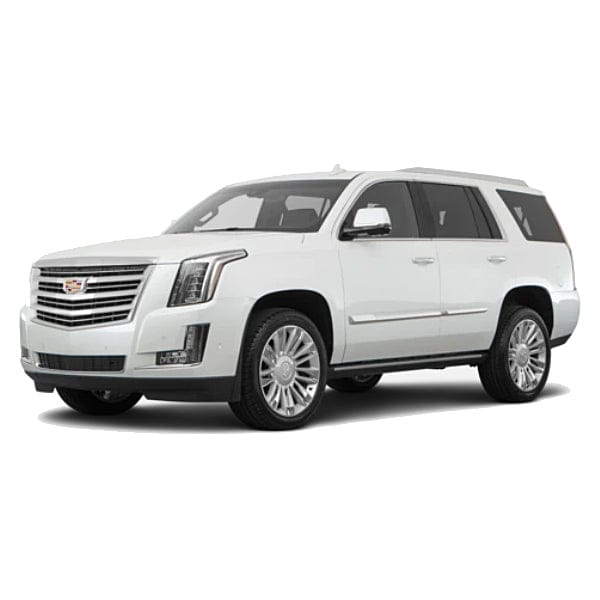 '15-20 Cadillac Escalade Platinum 22" 9 Spoke Wheel Center Cap ...